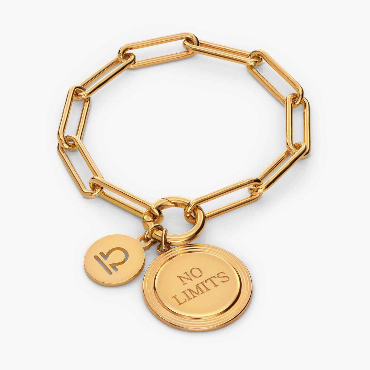 A Charmed Life Bracelet- Gold Vermeil - Oak & Luna