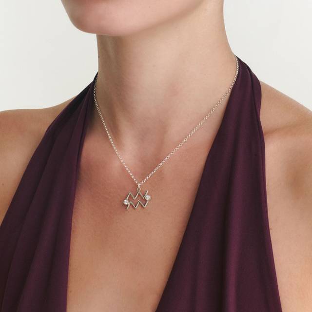 Give Me a Sign Zodiac Necklace - Silver - Oak & Luna